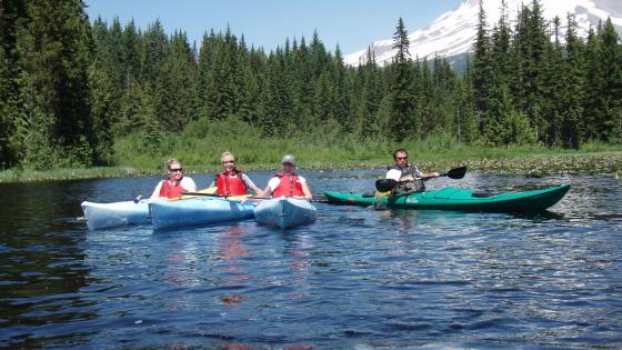 Local Area Guide | Collins Lake Resort