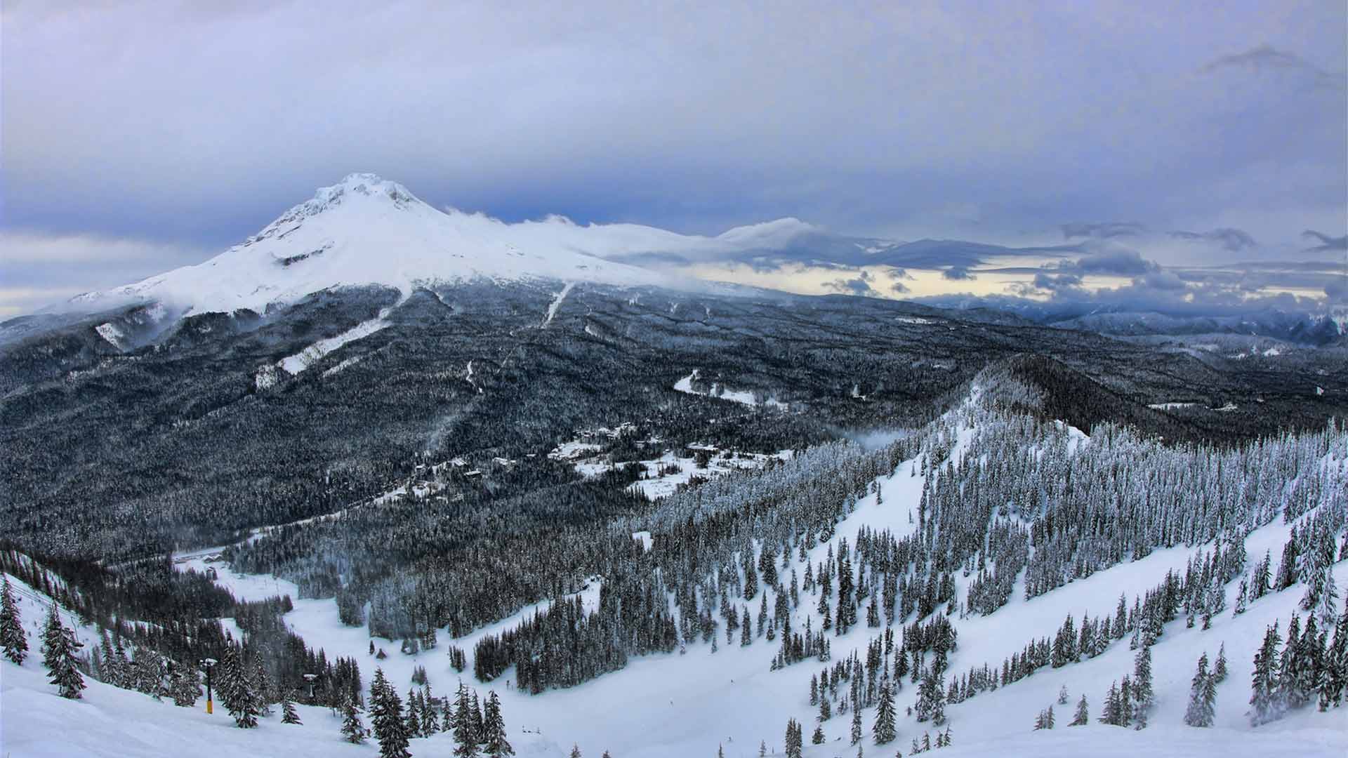 Collins Lake Resort l The Chalets